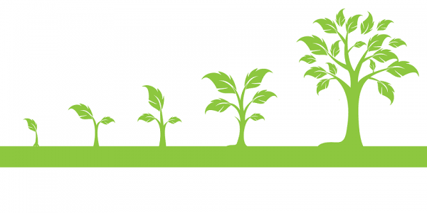 Les Essentiels du lean - Cycle 2024 - 7/8 - Institut Lean France